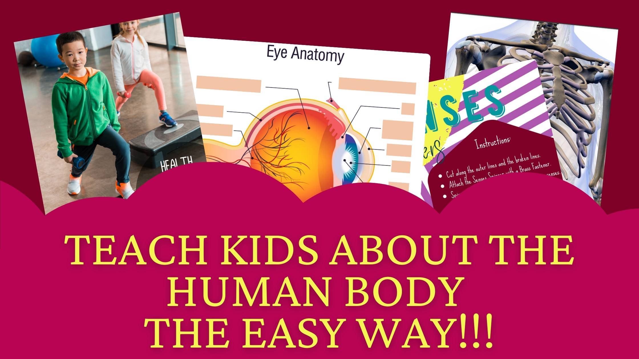 The Ultimate Human Body Health Bundle