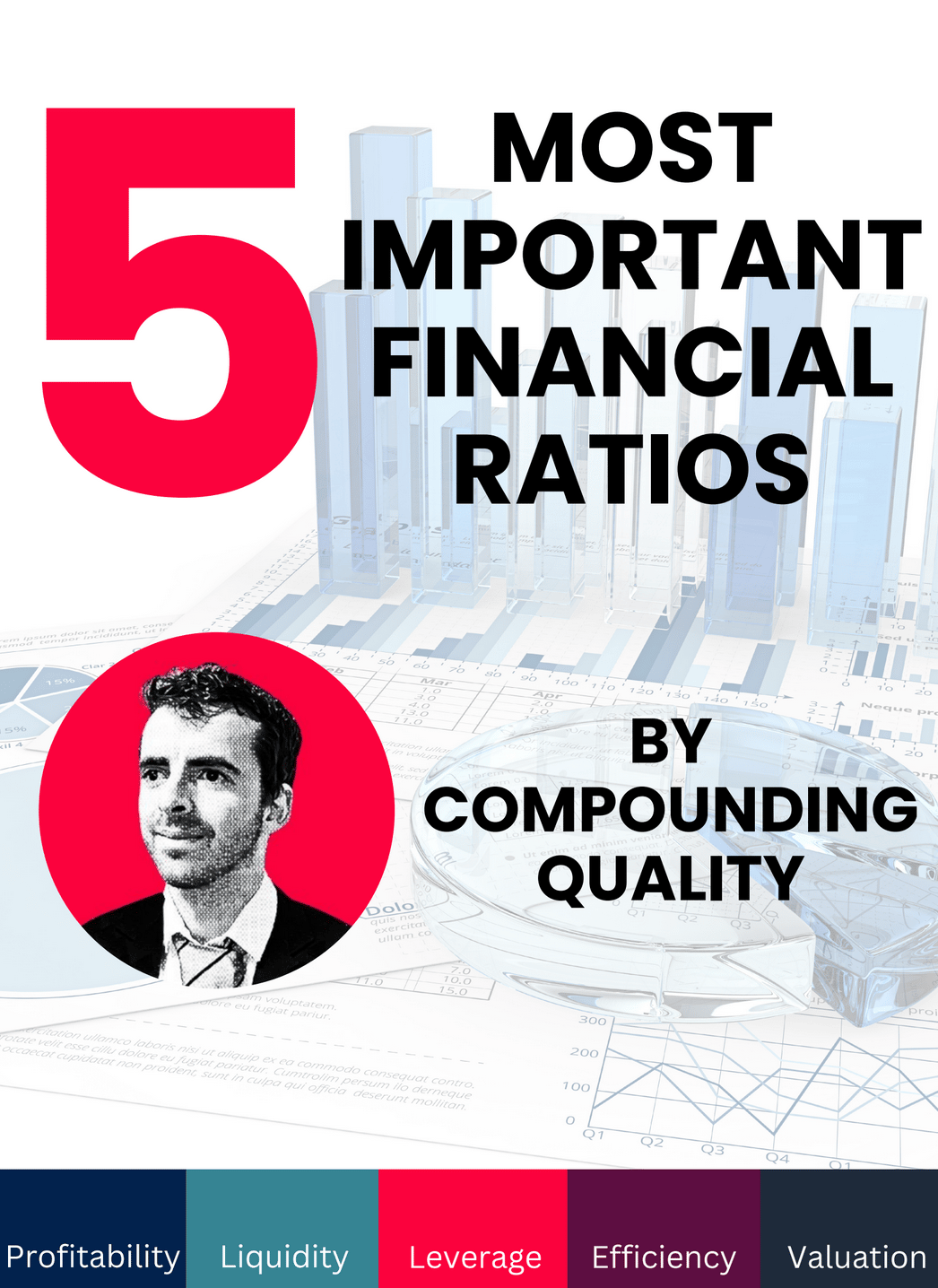 Most important financial ratios