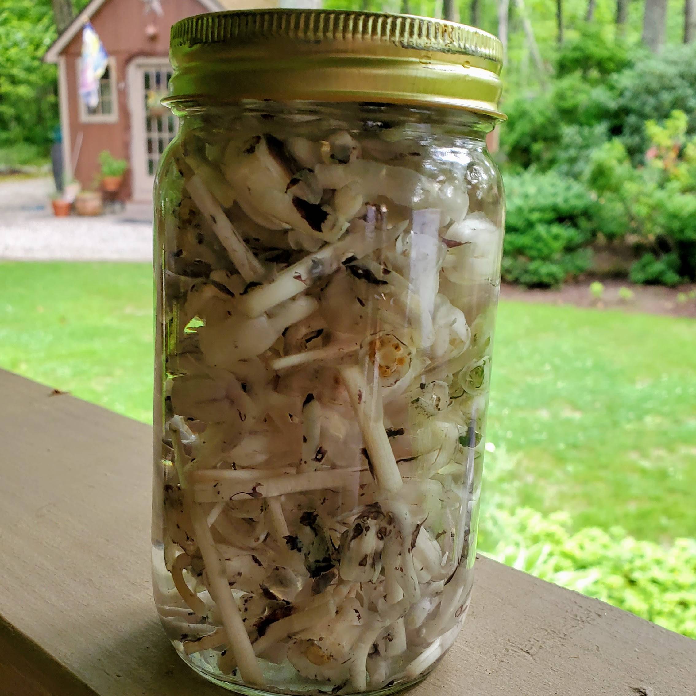5 Free Herbal Preparation Guides