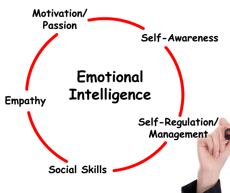 Emotional Intelligence & DISC Assessment