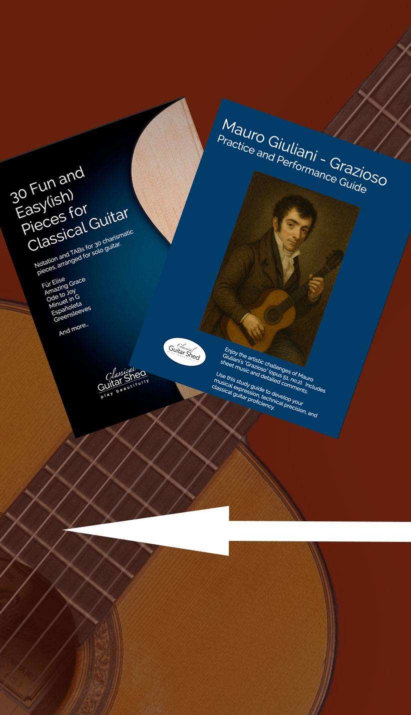 Download the Giuliani Grazioso Study Guide& Bonus Book